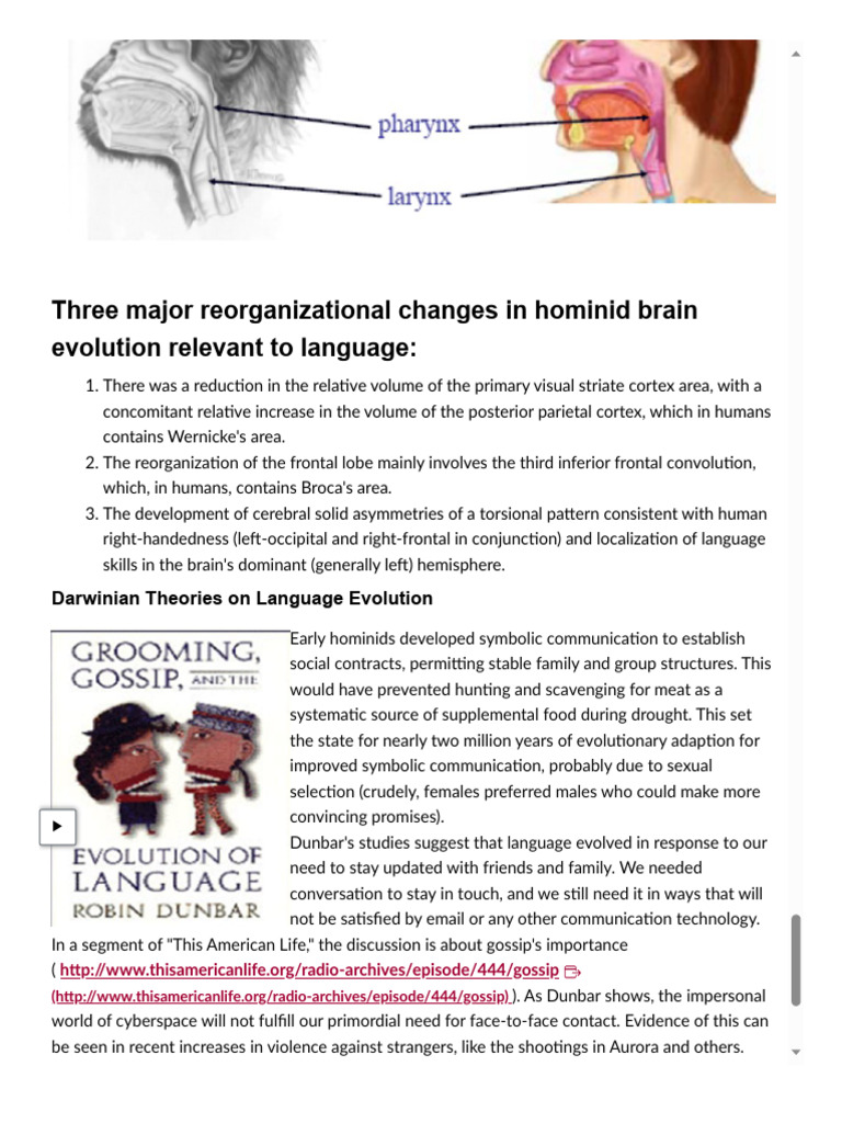 The Evolution of The Human Brain - BIOLOGICAL ANTHROPOLOGY-10185 | PDF