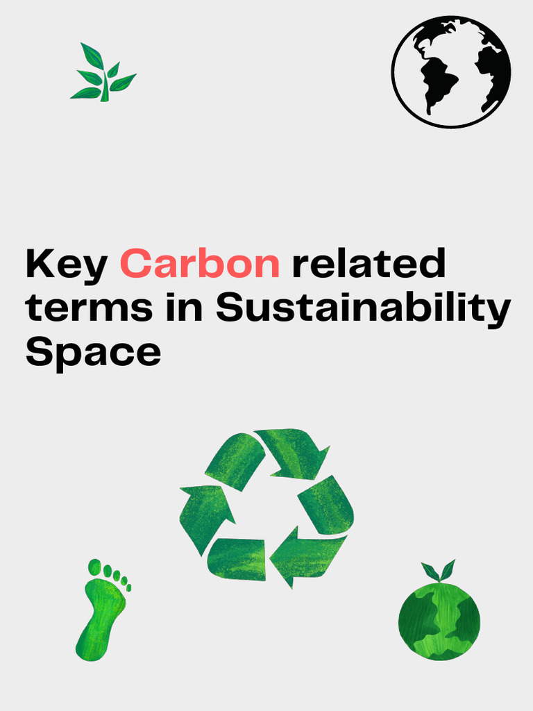 Understanding Carbon Footprint and Offsets | PDF