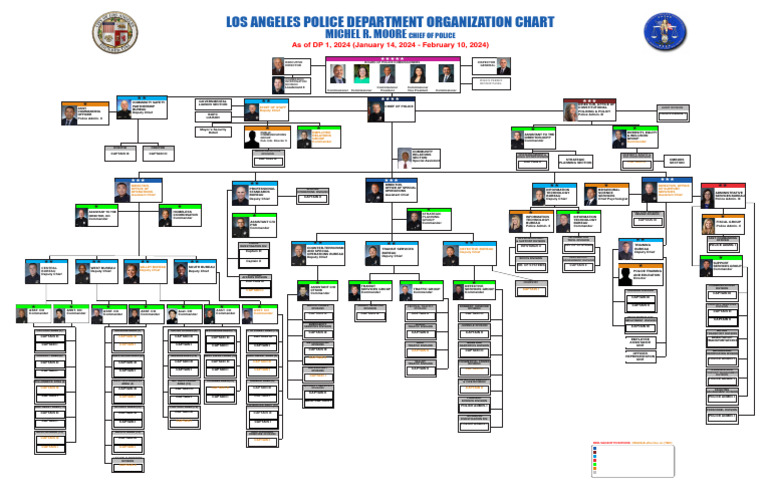 11x17 Organizational Chart 2024 DP 1 | PDF | Emergency Services | Legal ...