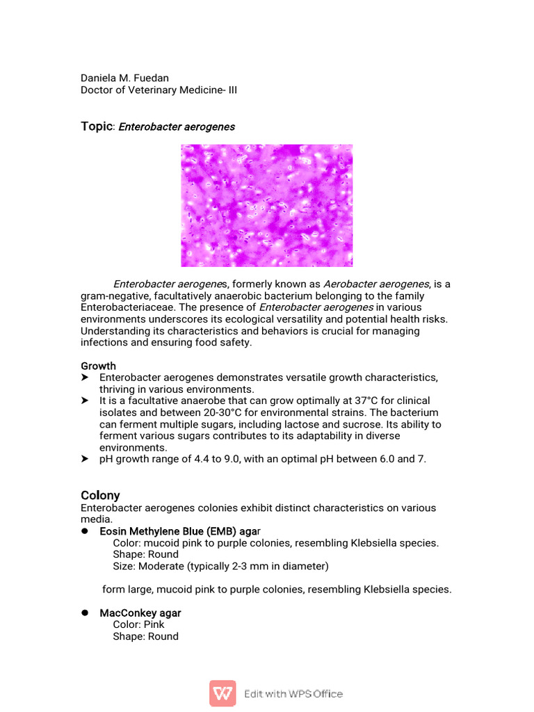 Enterobacter aerogenes Overview and Risks | PDF | Bacteria | Microorganism