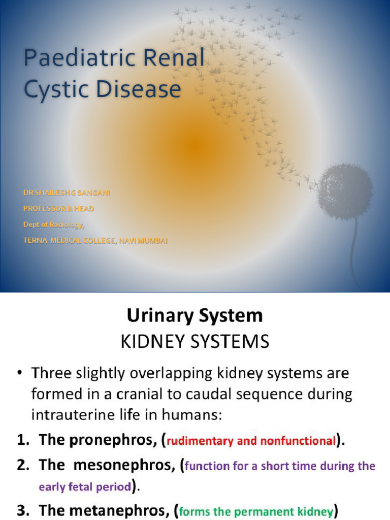Pediatric Renal Cystic Disease Overview | PDF | Organ (Anatomy) | Kidney
