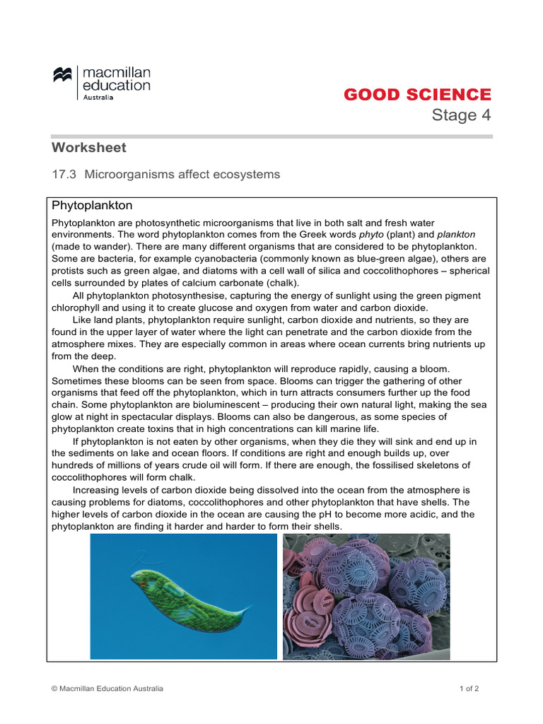 Stage 4 Science: Phytoplankton Impact | PDF | Phytoplankton | Cyanobacteria