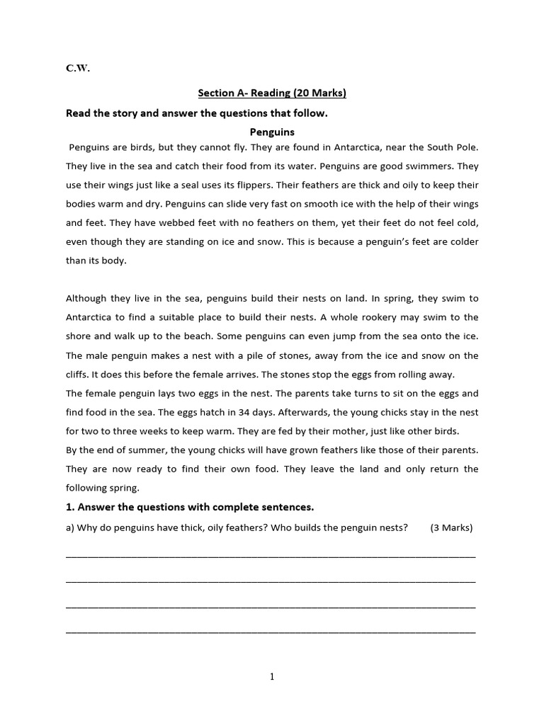 Grade 4 English Cambridge Worksheet | PDF | Penguin | Birds