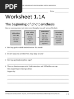 S9 Unit 1 Worksheets | PDF | Carbon Cycle | Photosynthesis