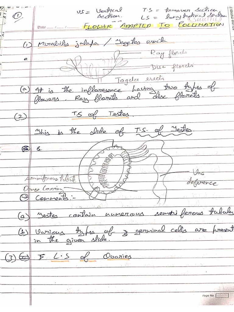 Class 12 Spotting | PDF