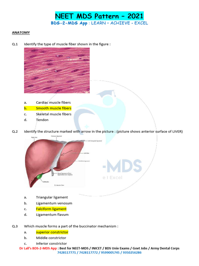 PP2021 - NEET MDS Pattern | PDF | Human Tooth | Anemia