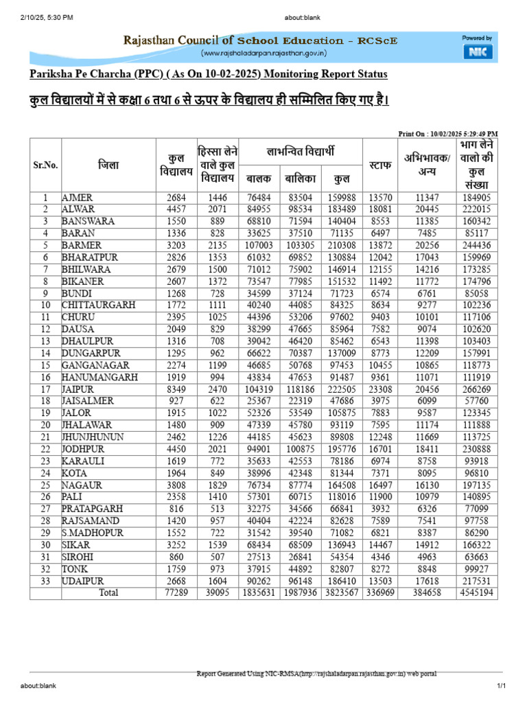 PPC 2025 Report 1 | PDF