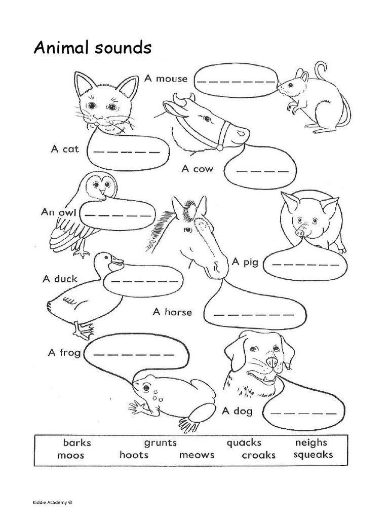Animal Sounds and Homes Activities | PDF | Zoology | Domesticated Animals