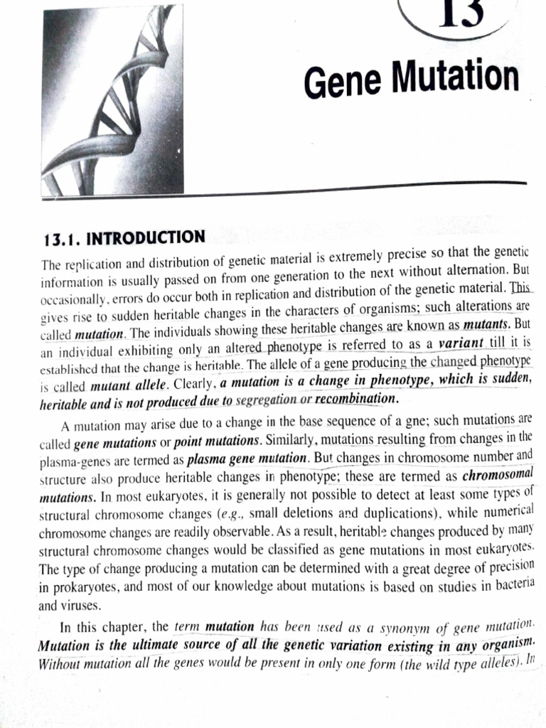 Understanding Gene Mutations and Their Impact | PDF | Mutation ...
