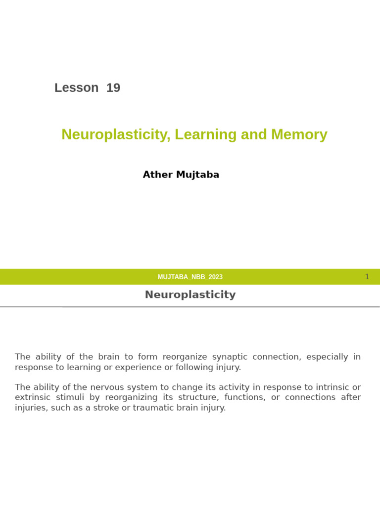 Plasticity, Memory, Learning 1 | PDF | Neuroplasticity | Cerebral Cortex