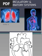 Structure and Function of The Gas Exchange System - Respiration and Gas ...