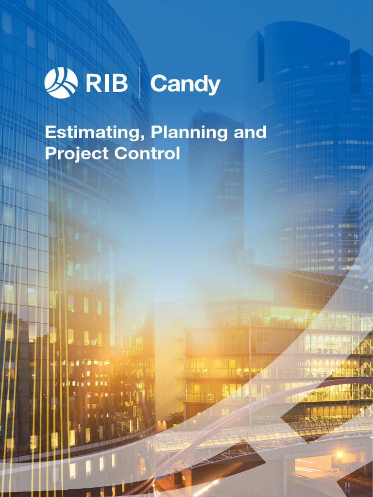 RIB Candy: Project Control Software | PDF | Net Present Value ...