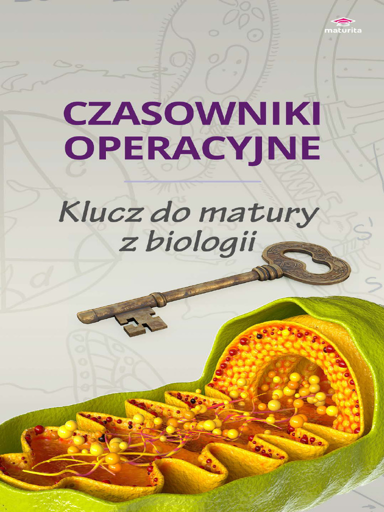 maturita-czasowniki-operacyjne | PDF