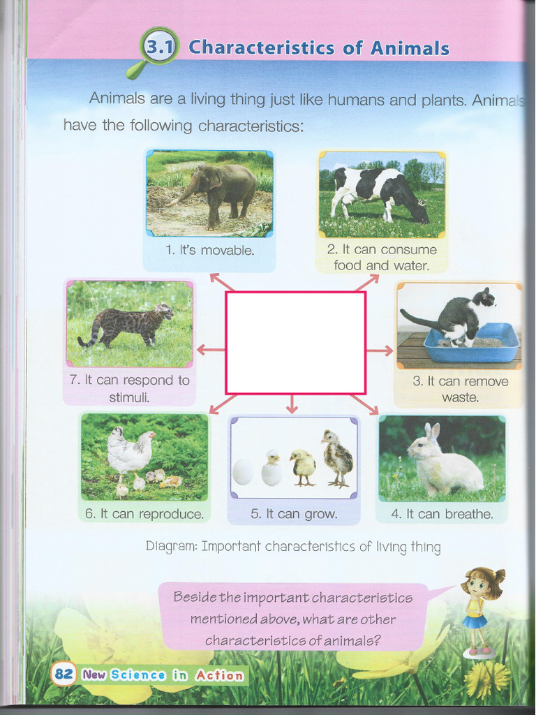 Unit 3 Animal Around Us Set 1 | PDF
