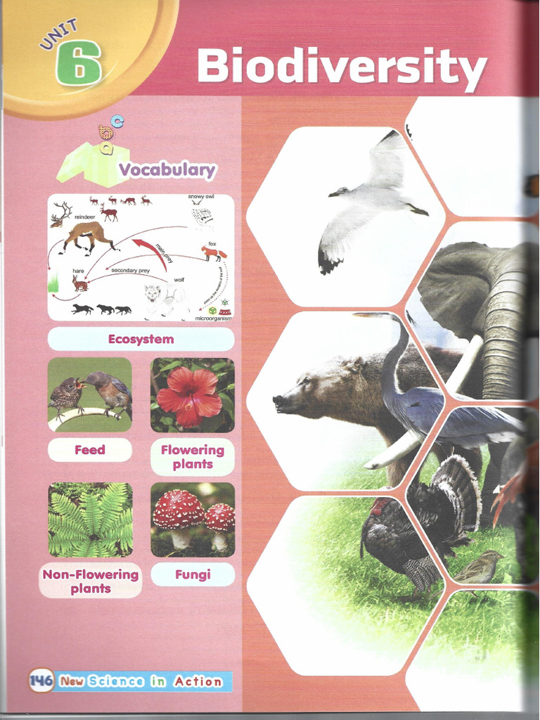 Unit 6 Biodiversity | PDF