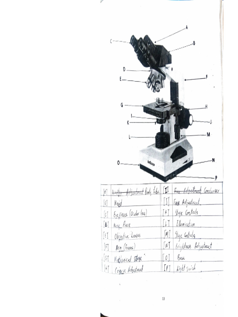 Parasitology Incourse | PDF