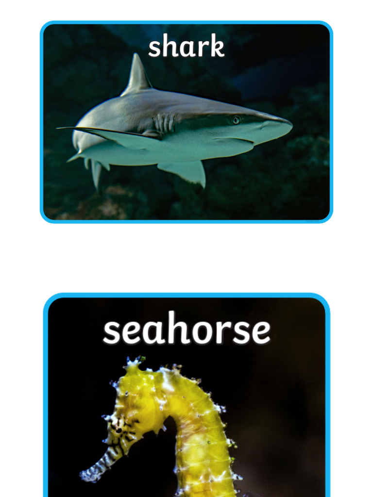Sea Creatures Visual Guide | PDF