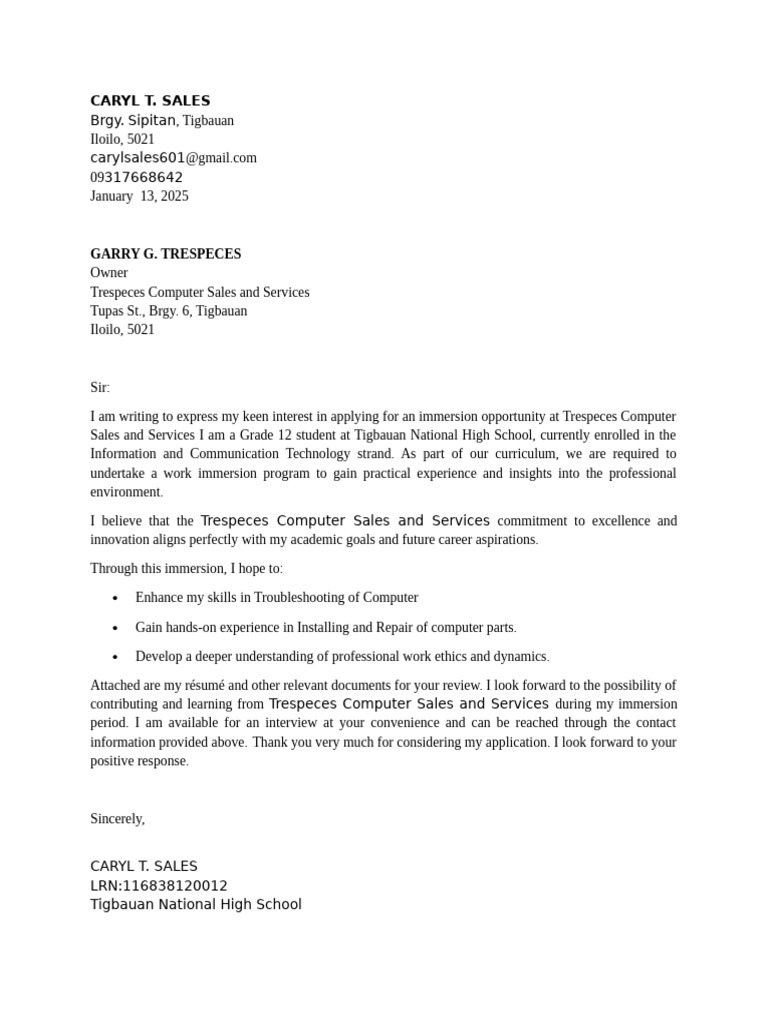 Immersion Application at Trespeces Computer | PDF