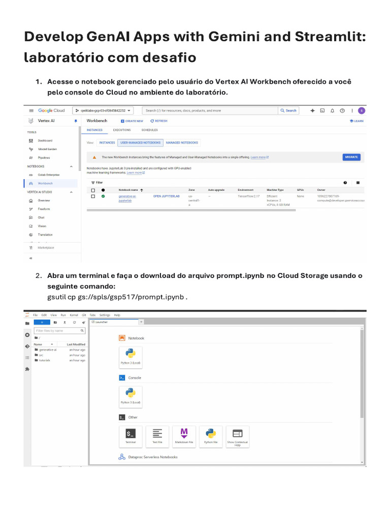 ATUALIZADO-Develop GenAI Apps With Gemini and Streamlit-Desafio | PDF