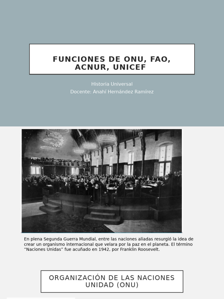 Onu, Fao, Acnur, Unicef | PDF | Organización de Comida y Agricultura ...