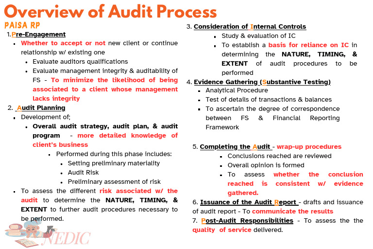 4.overview of Audit Process | PDF