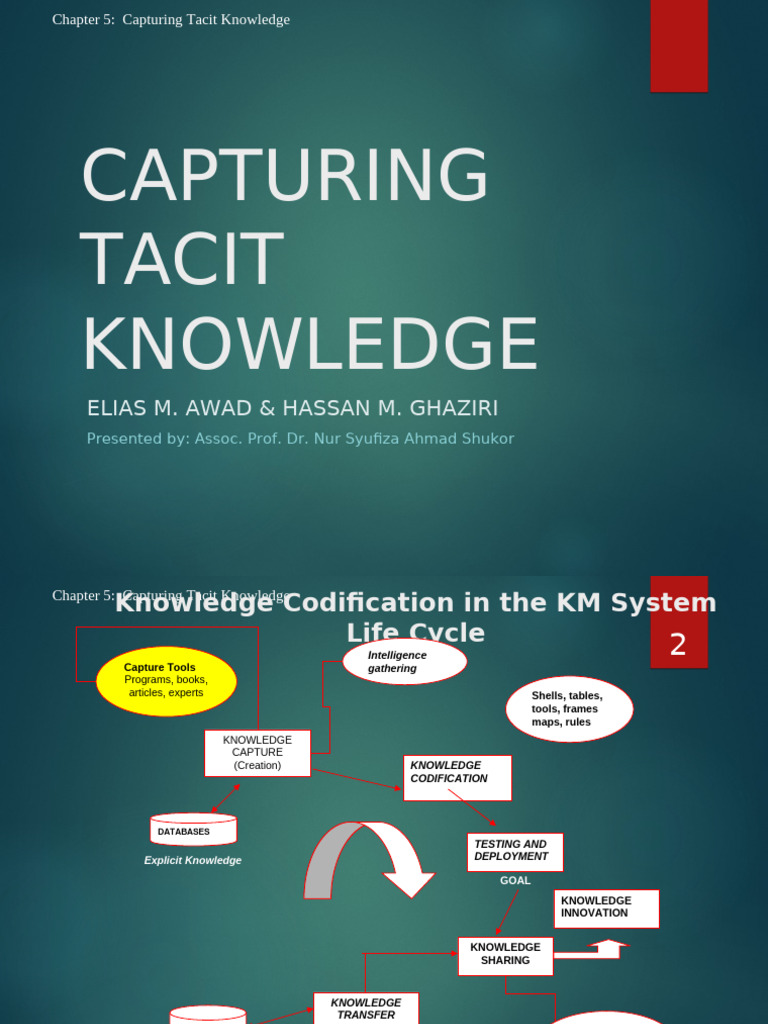 C3 Capturing Tacit Knowledge | PDF | Expert | Knowledge