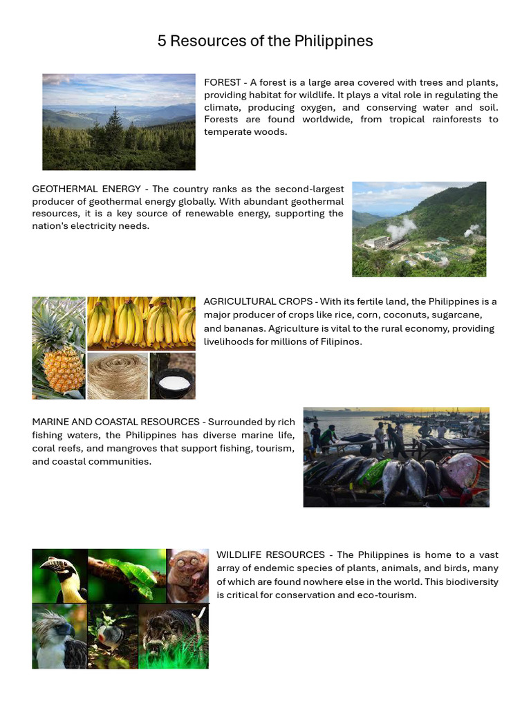 5 Resources of The Philippines | PDF