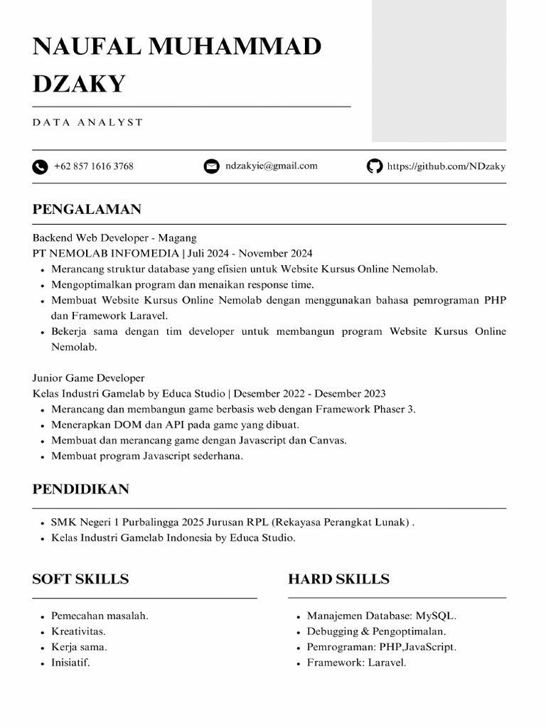 Contoh CV Data Analyst | PDF