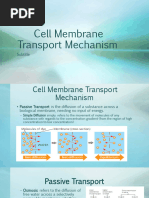 Amoeba Sisters Video Recap | PDF | Cell Membrane | Cell (Biology)