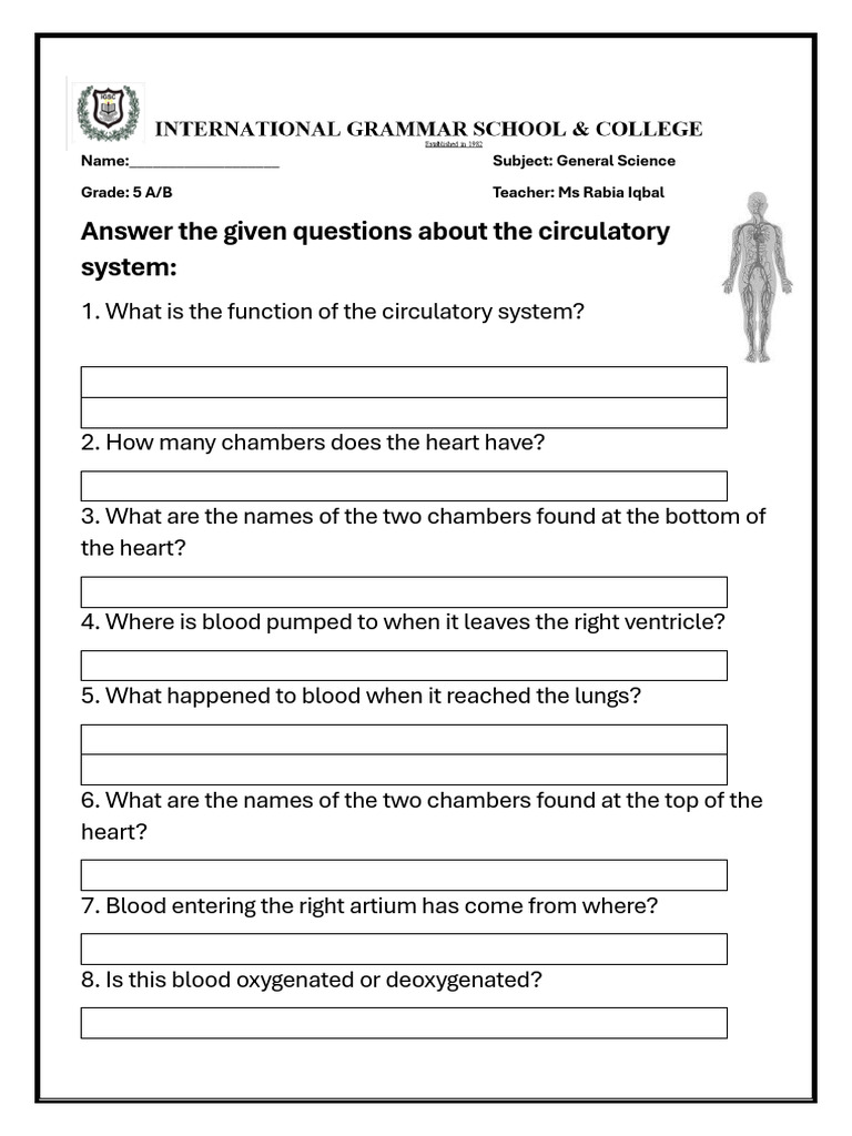 Circulatory Test | PDF