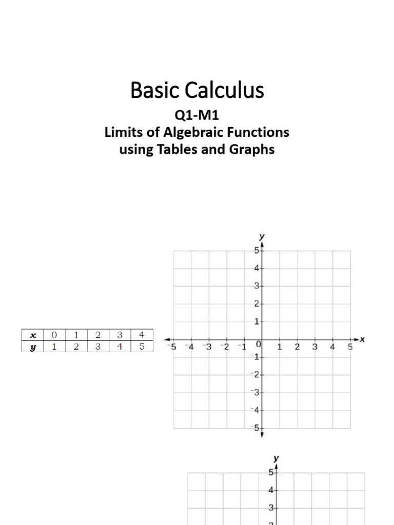 Understanding Limits in Calculus | PDF