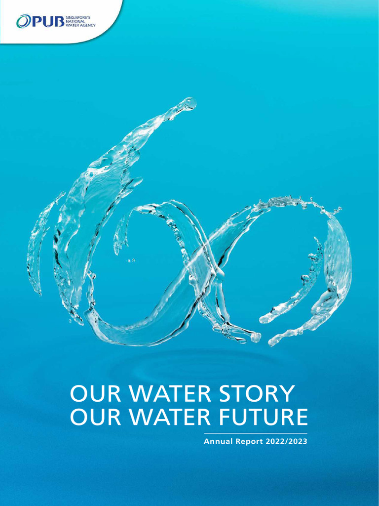 PUB Annual Water Demand 2023 Report | PDF | Water | Infrastructure