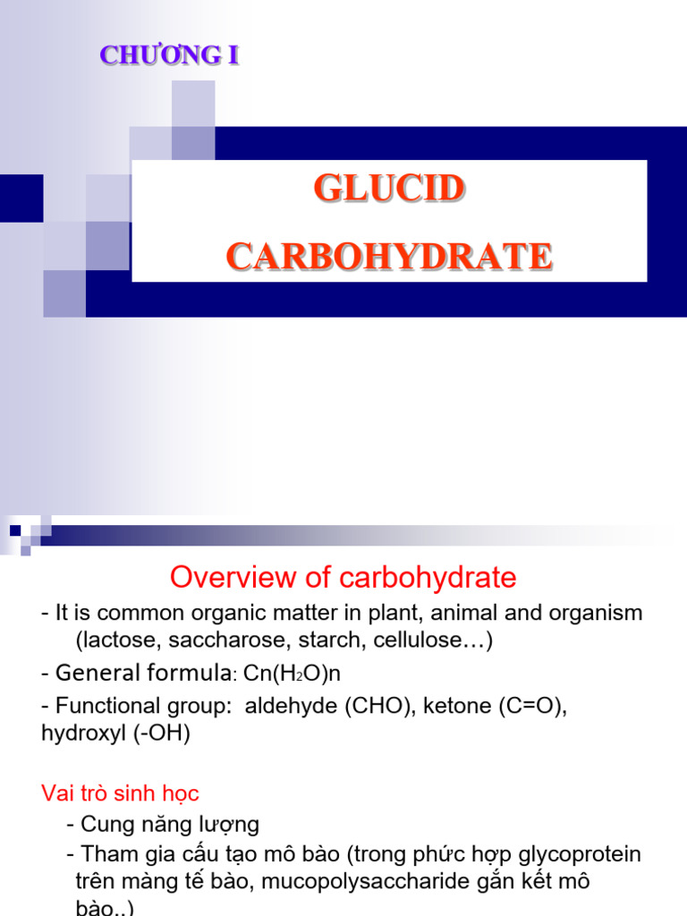 Carbohydrate Structure 1 | PDF