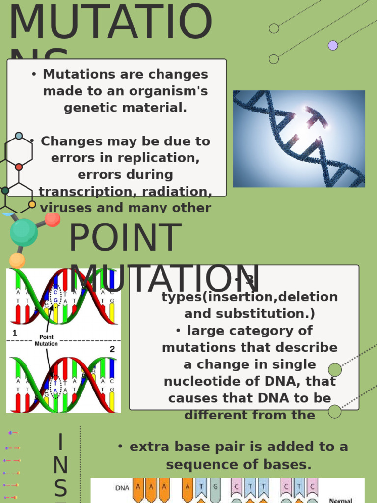 Mutation Ppt 1 | PDF | Genetics | Mutation