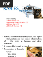 Rabies: Overview and Management Strategies | PDF | Rabies | Virus