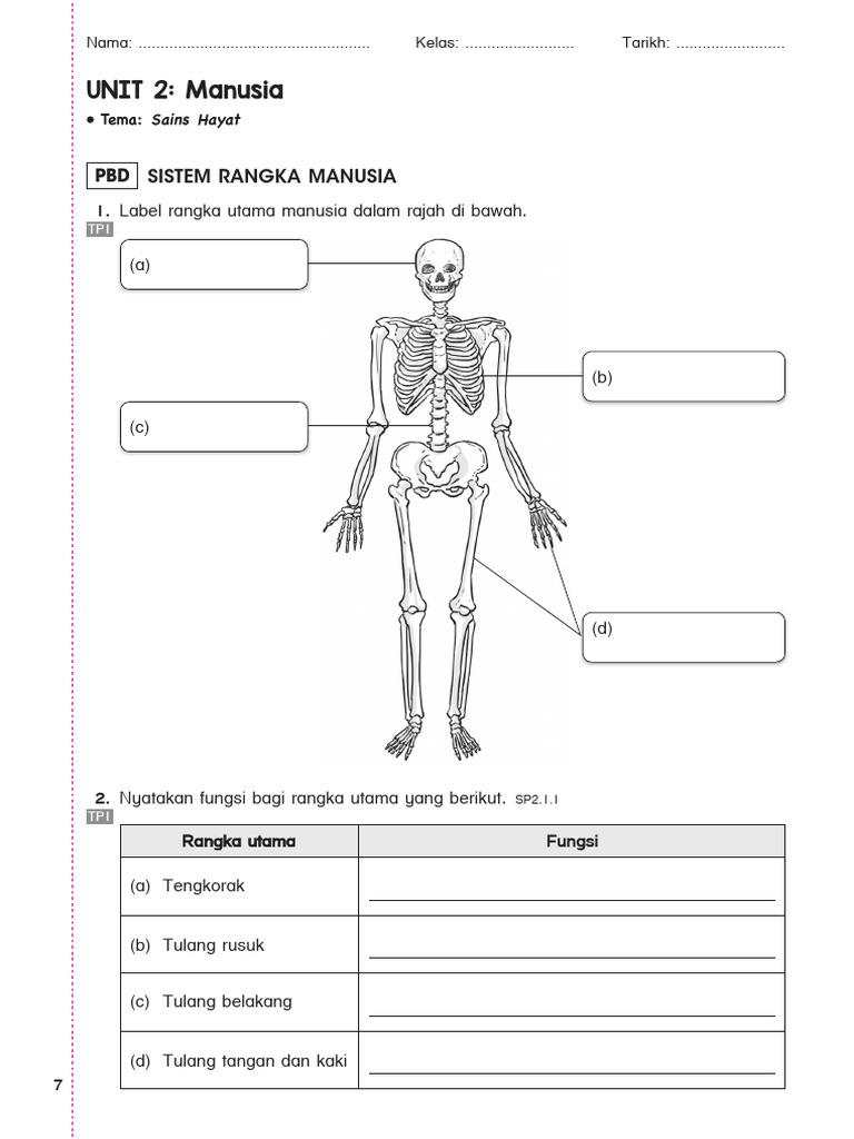 Sains Tahun 5 - Unit 2 | PDF