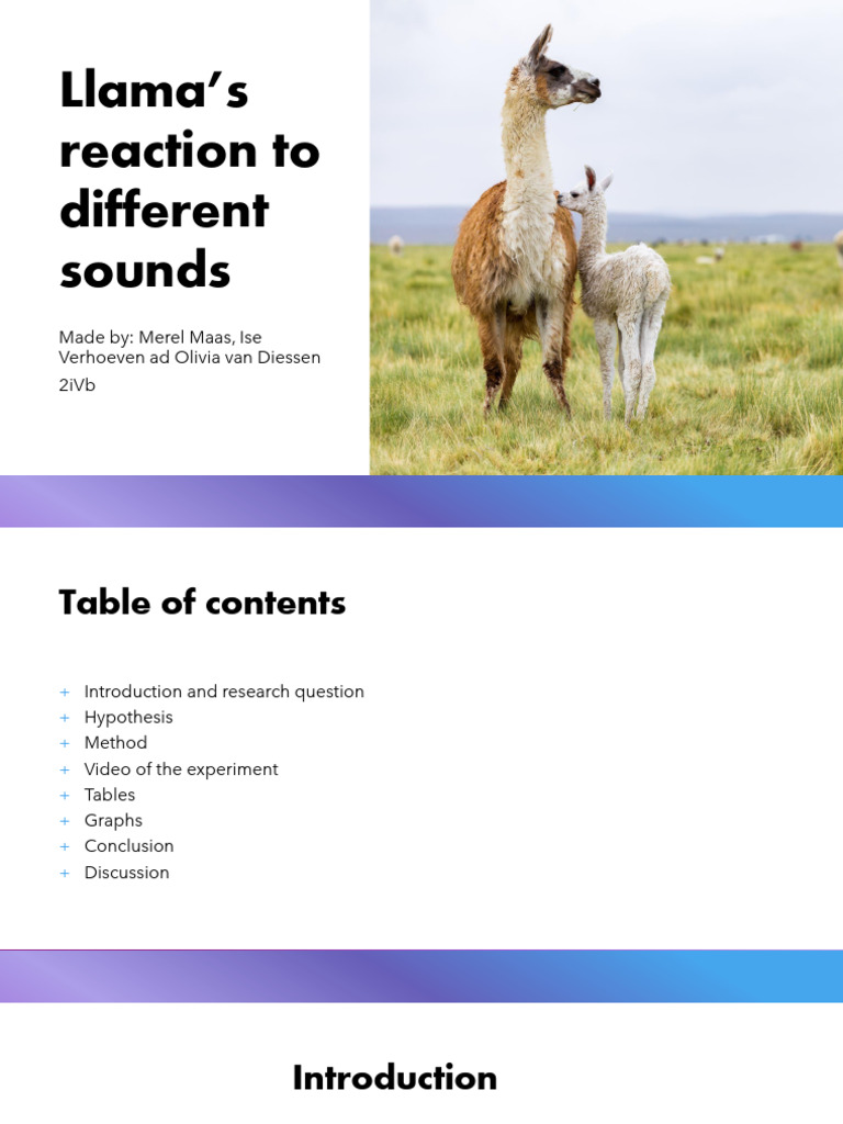 Llama's Reaction To Different Sounds | PDF