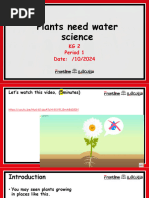 Pigeon Genetics: Answer Key | PDF | Dominance (Genetics) | Genotype