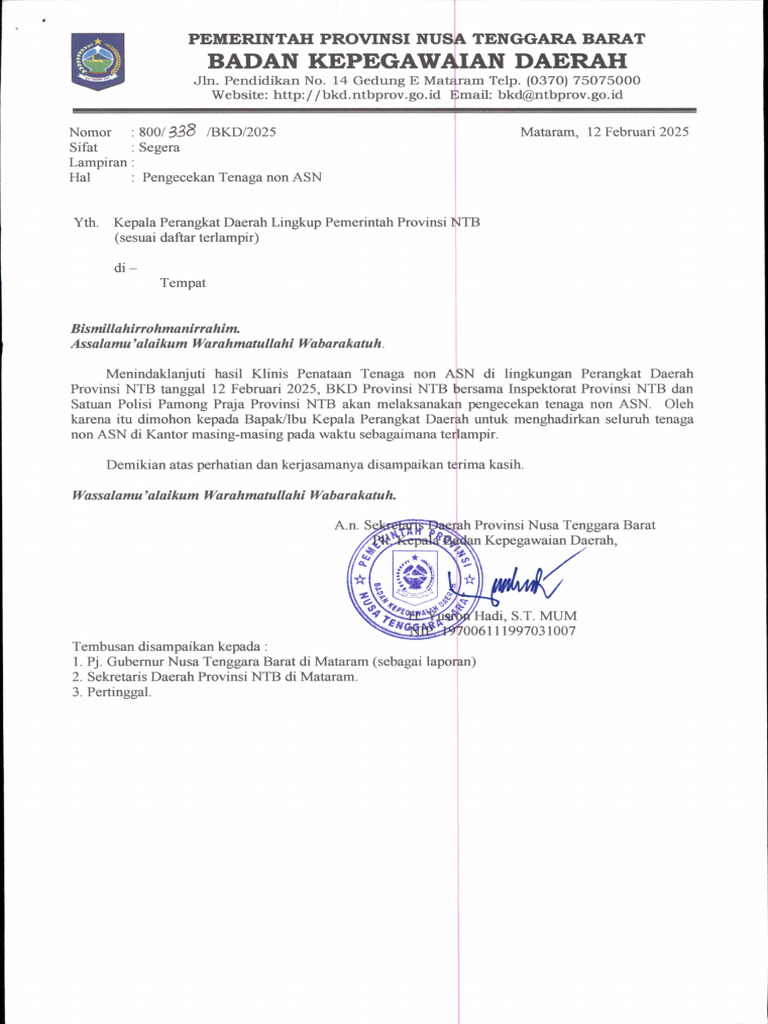 Penngecekan Data Non ASN 2025 - OPD | PDF