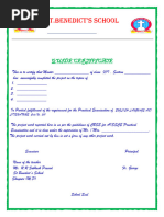 EVS Project Cover Page Design | PDF