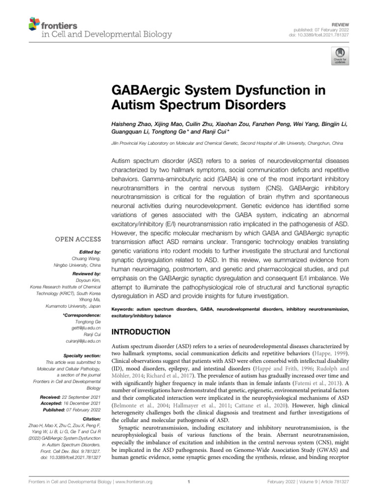 a GABAergic System Dysfunction in Autism Spectrum Disorders | PDF ...