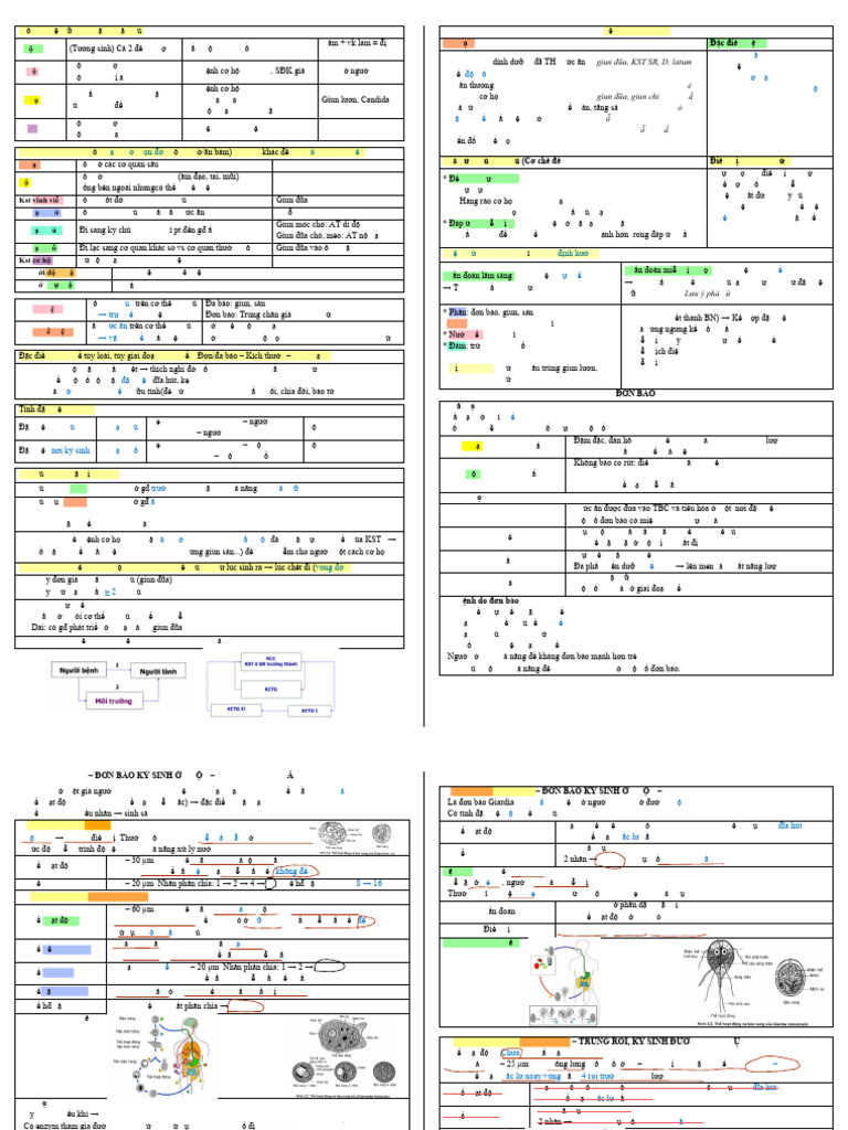 TÓM TẮT KST- NGUYỄN NGỌC BẢO UYÊN-K20 | PDF