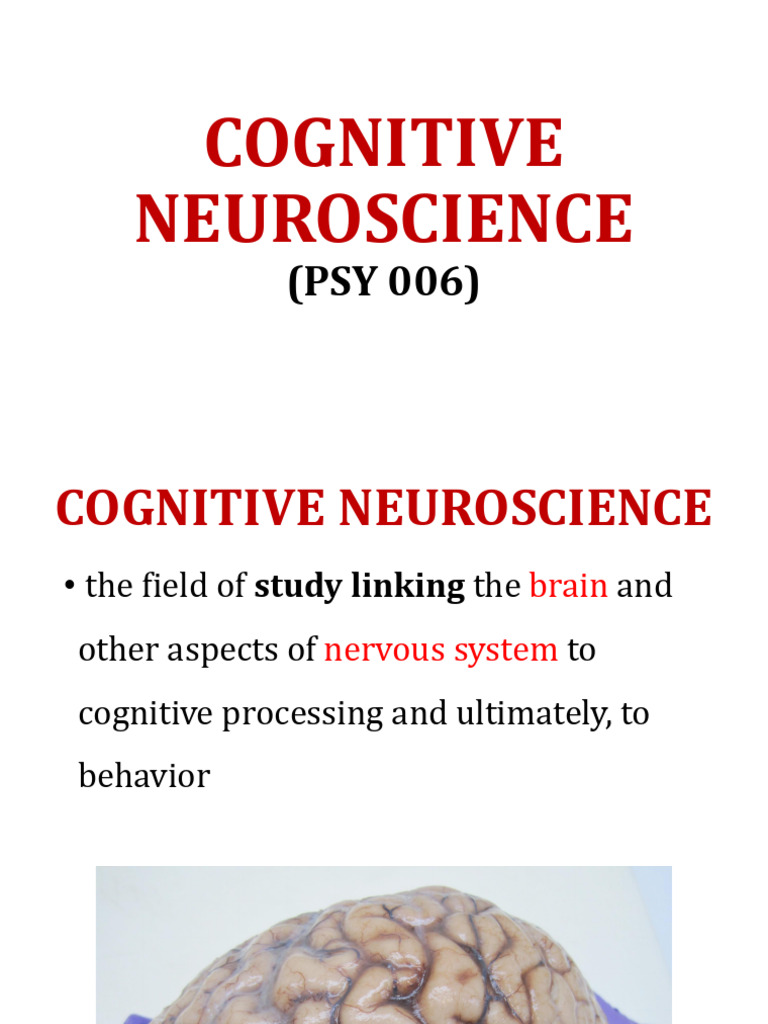 Chapter 2 Cognitive Neuroscience Pdf Brain Limbic System