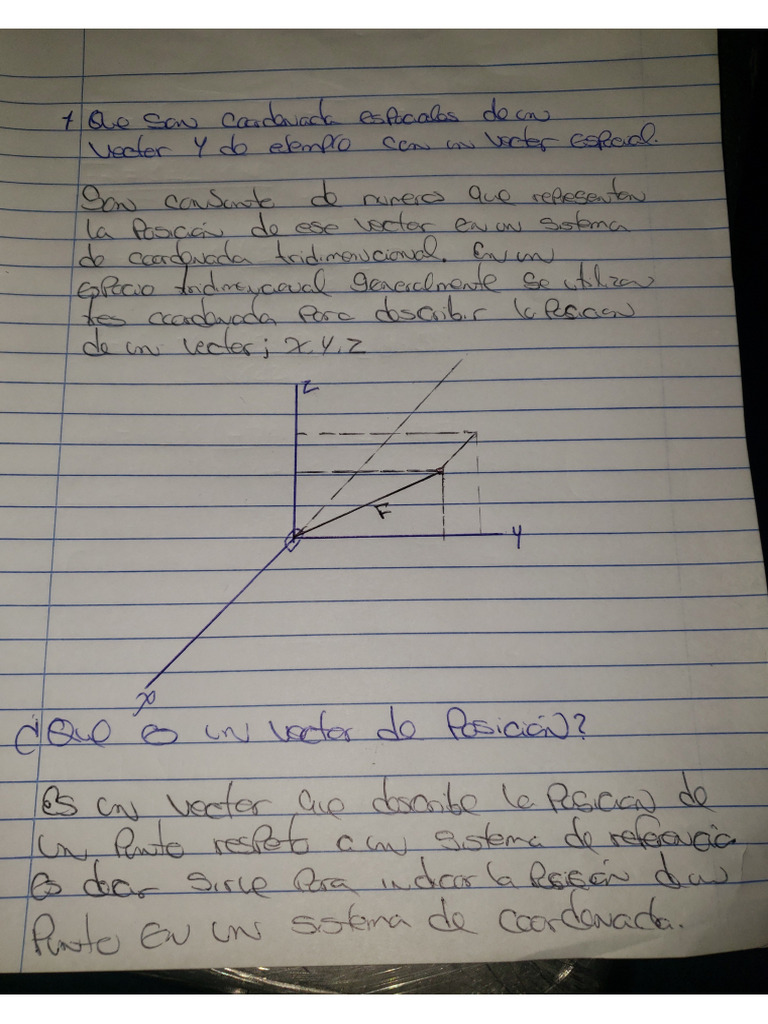Practica #4 Estatica | PDF