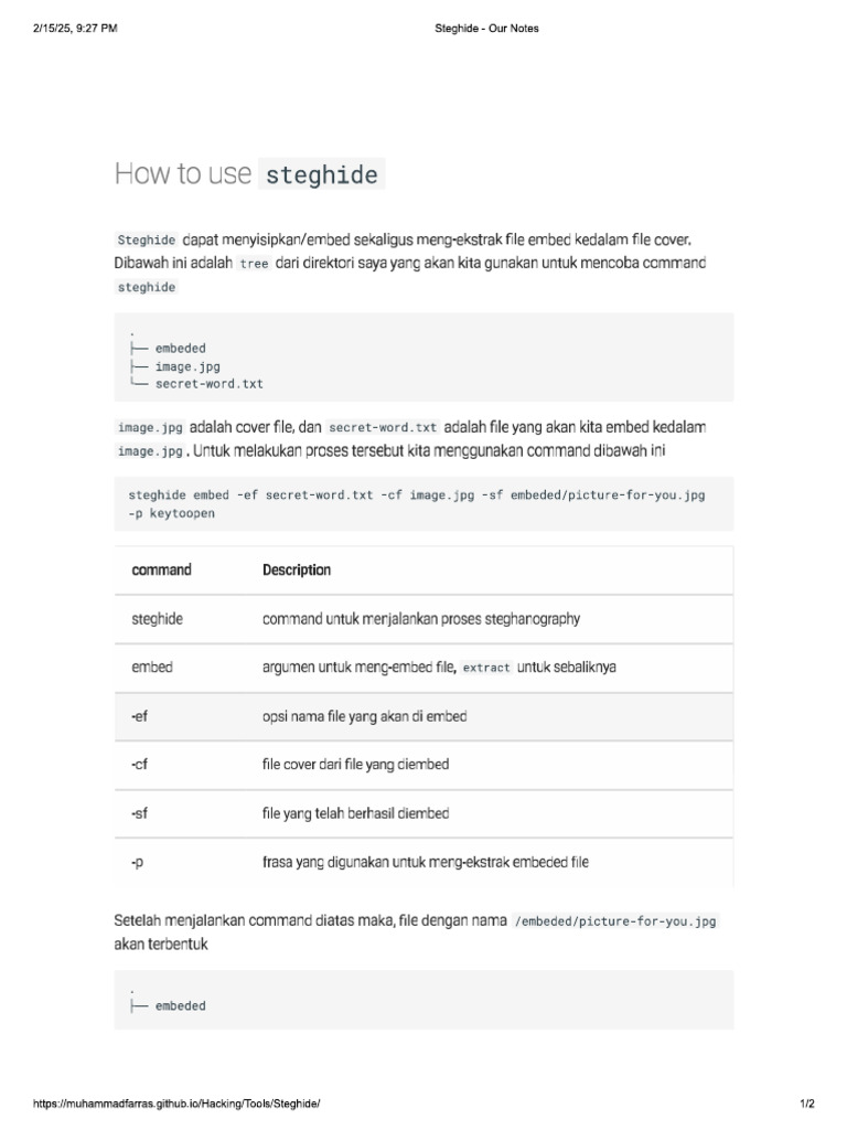 steghide | PDF