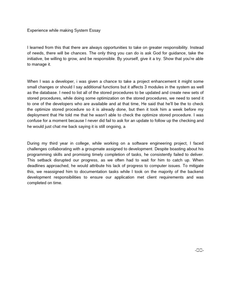 Experience While Making System Essay | PDF