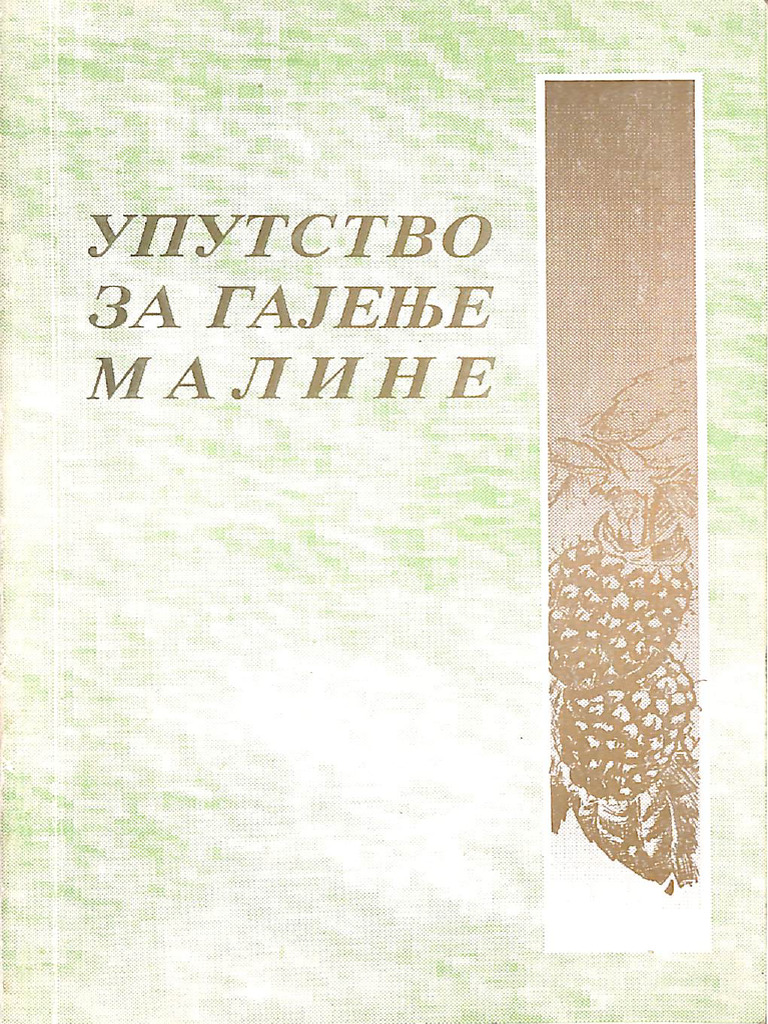Uputstvo Za Gajenje Maline | PDF