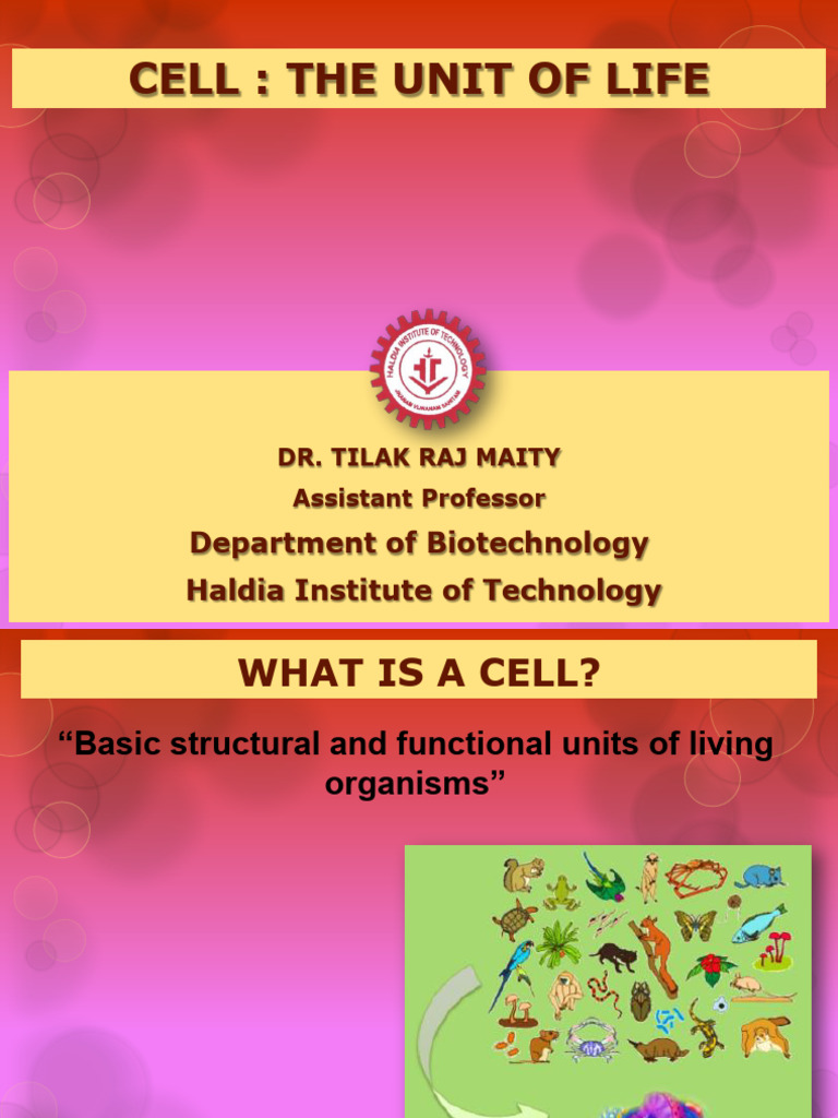 3 - Cell - The Unit of Life | PDF | Endoplasmic Reticulum | Vacuole