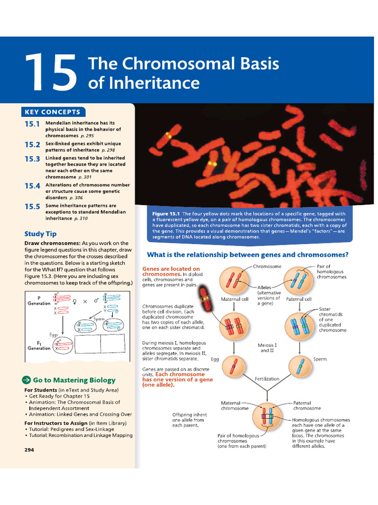 Ch. 15 Biology | PDF