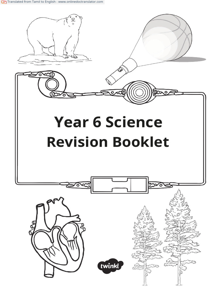 Year 6 Science Revision Booklet - Ta.en | PDF | Artery | Shadow